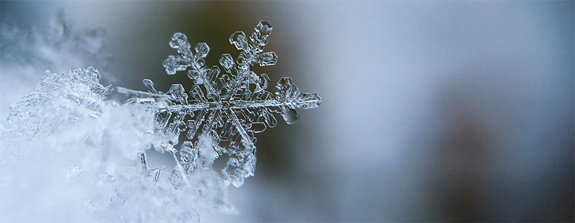 Information on the recent (very) low temperatures on the website ...